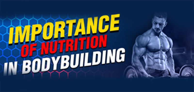 Importance Of Nutrition In Bodybuilding | Greenex Nutrition