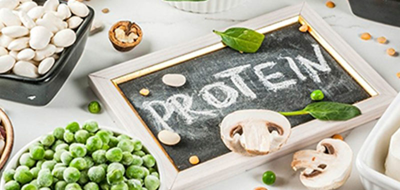 The Cheapest Source Of Protein In The Normal Diet | Greenex Nutrition